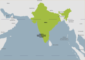Robusta India Parchment Kaapi-Royale AB - Washed - Goppion Caffè